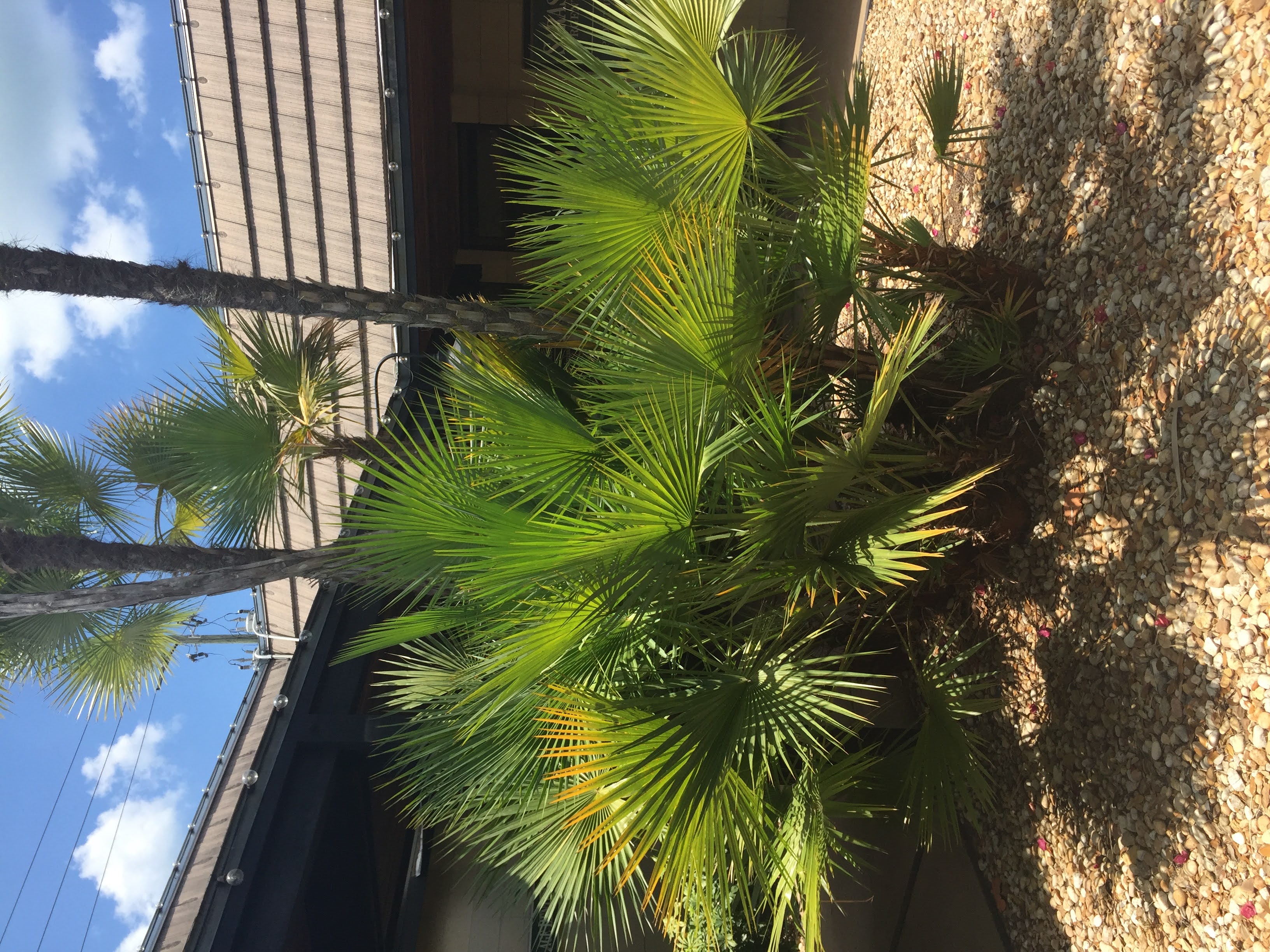 Mapping images with Exif PHP